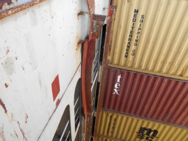 Marine Surveys – Thylacine